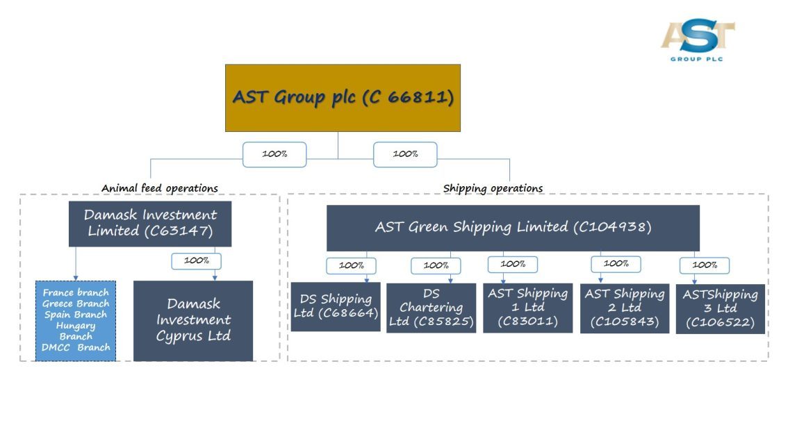 Group Structure | AST Group plc